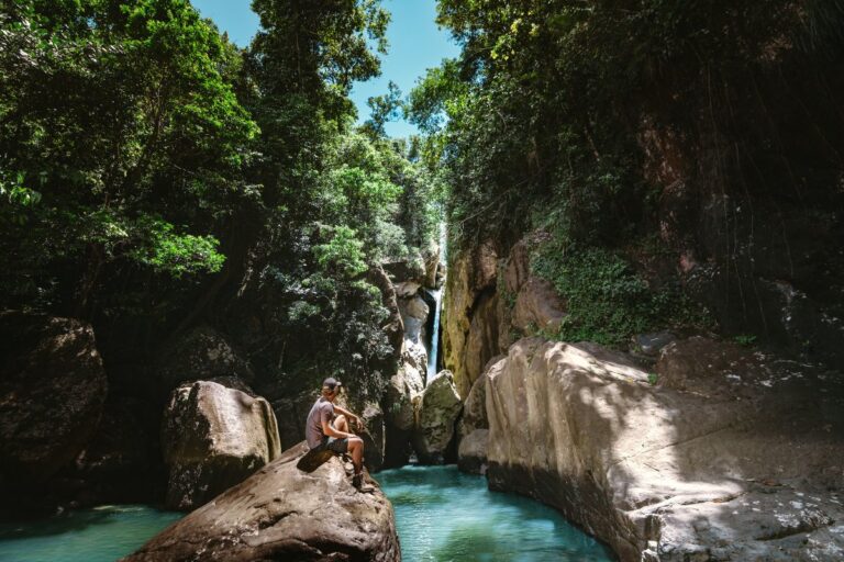Top Things To Do At El Yunque National Forest Puerto Rico | Otium