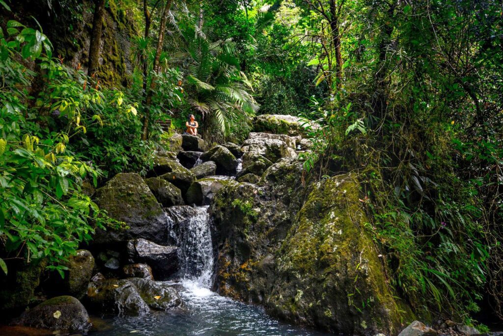 11 Amazing Things To Do In Río Grande, Puerto Rico | Otium