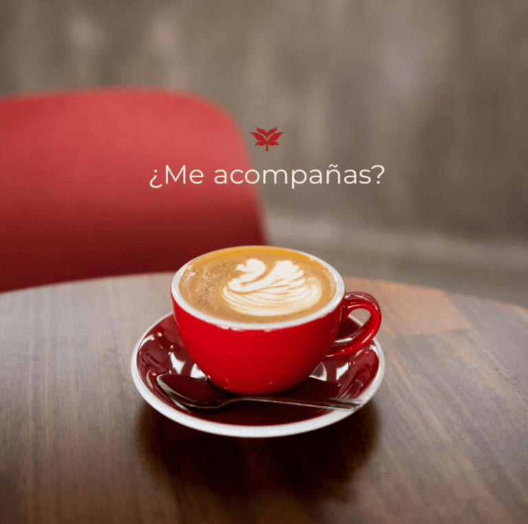 Top 9 Cafés In Puerto Rico: The Alluring Aroma | Otium